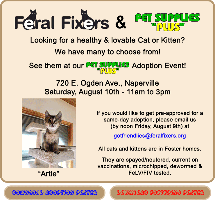 Home [feralfixers.org]