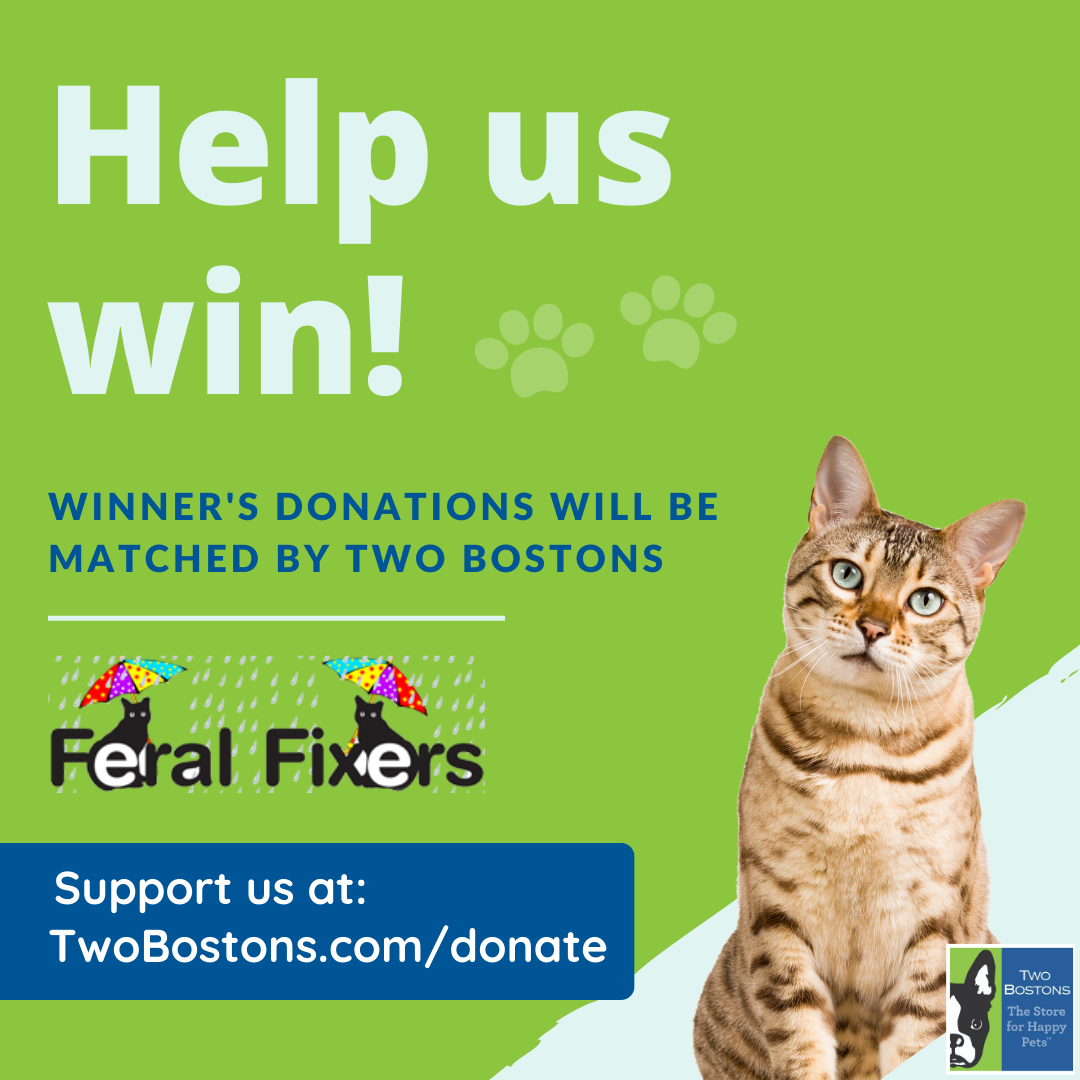 Home [feralfixers.org]