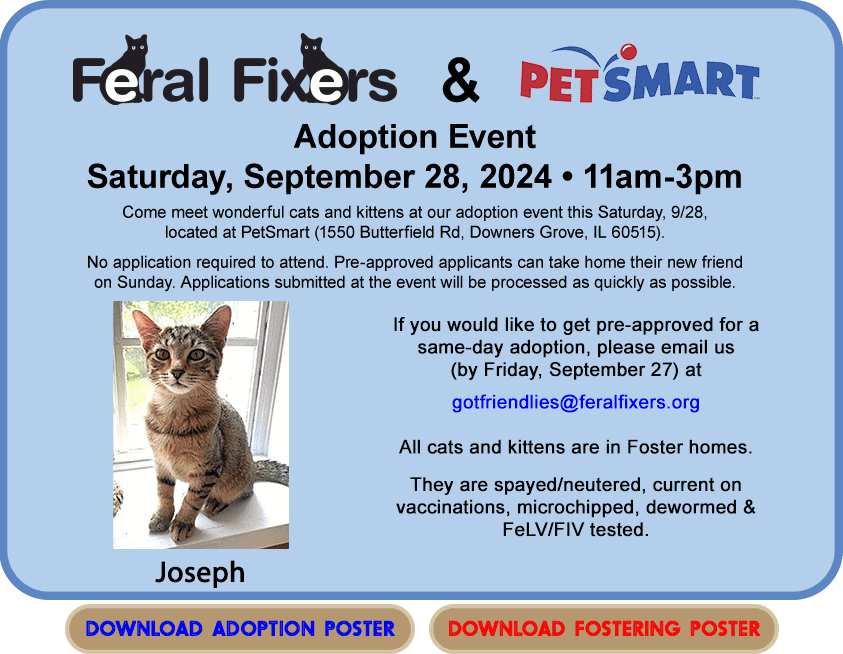 Home [feralfixers.org]